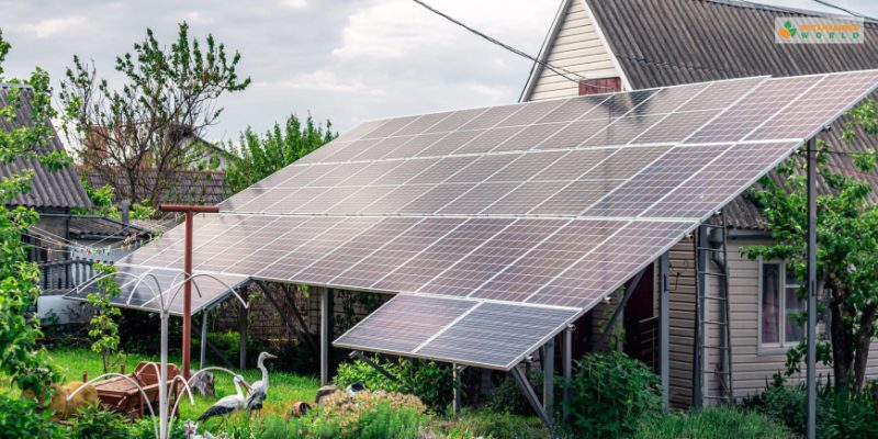 A Guide To Pink Energy Solar Company